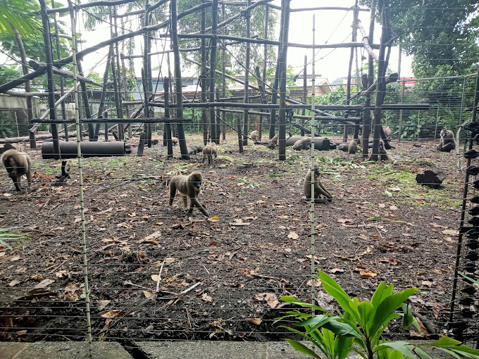 Boki LGA | Cross River State