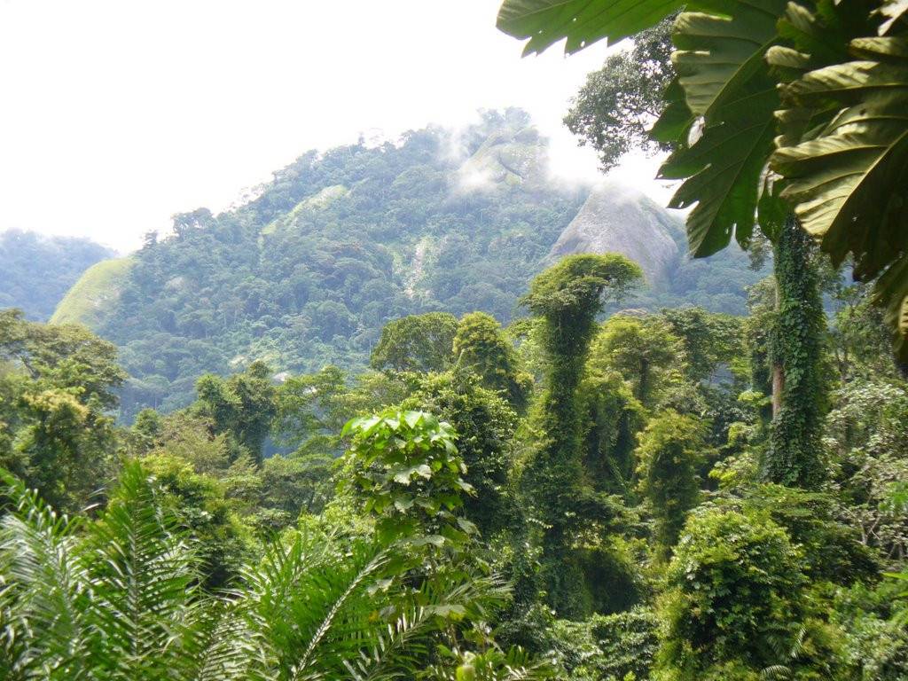 Boki LGA | Cross River State